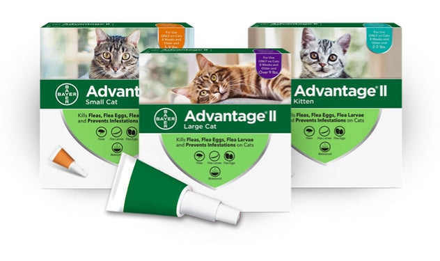 Elanco Advantage® II for Small Cats - Ukiah, CA - Lakeport, CA ...